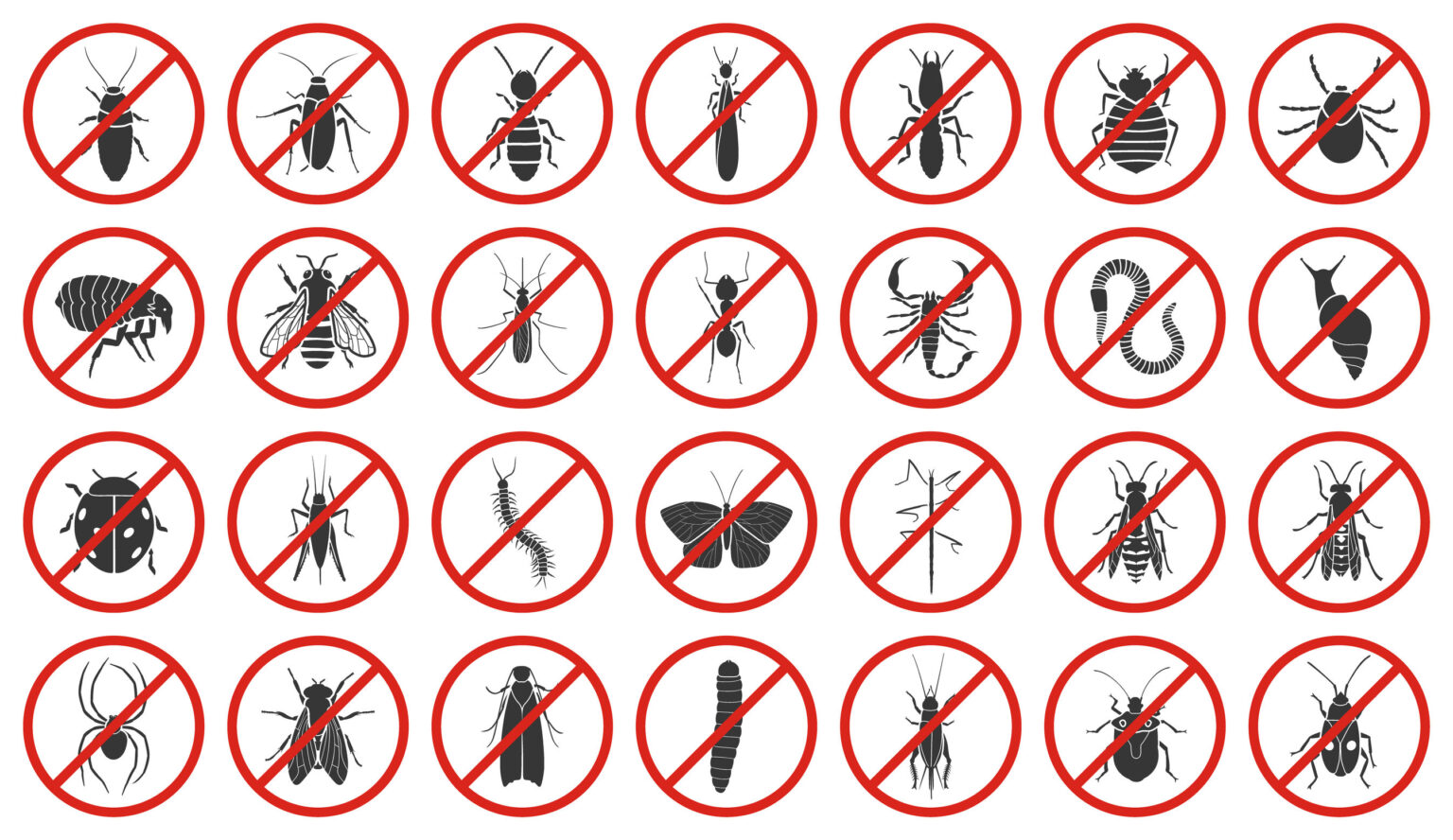 Services - North Central Pest Control Kokomo Indiana Services - North Central Pest Control Kokomo Indiana